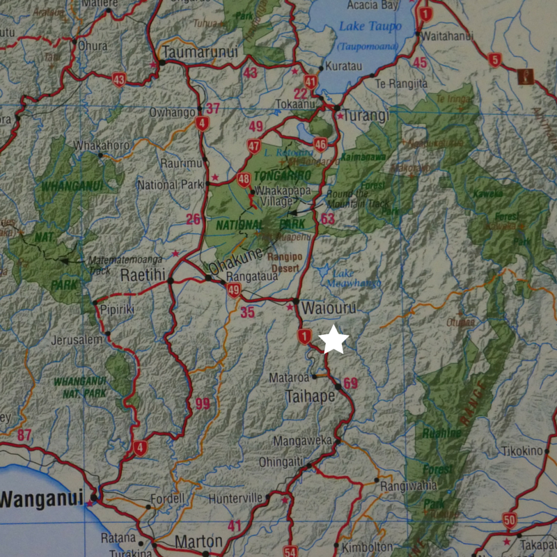 Zeke’s Hut Track, HIHITAHI FOREST – Moo and Moochelle
